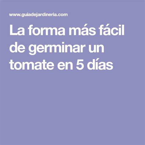 La forma más fácil de germinar un tomate en 5 días Germinados