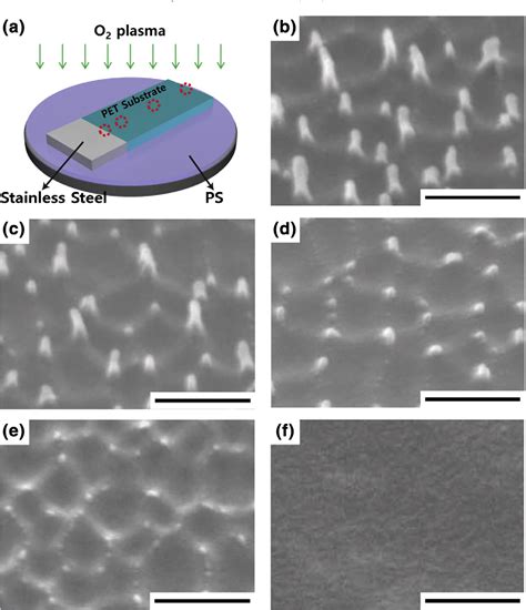 Figure From Nanostructures Formed On Carbon Based Materials With