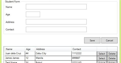 wpf crud with datagrid entity framework and c