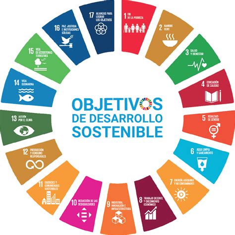 10 Acciones Para Lograr El Ods 1 Fin De La Pobreza