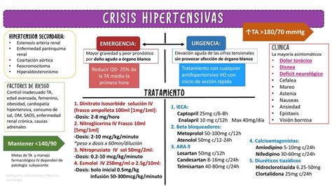 CARDIO UDocz