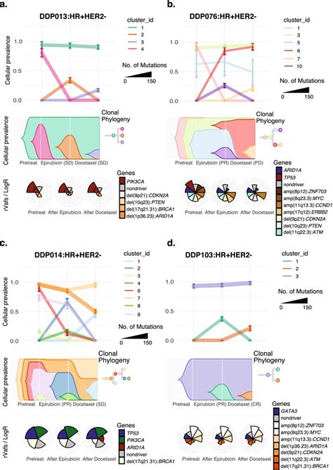 Clonal Evolution During Treatment Graphical Representation Of Clonal