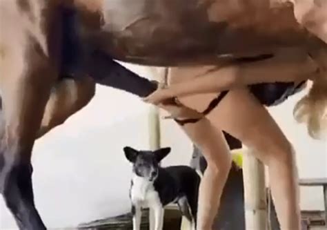 Rubia se mete una polla de 40 cm en el coño Zoofilia Porno