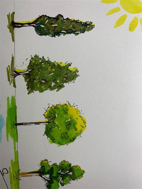 Howtodrawtrees Architecture Tree Sketching Tips Landscape Design