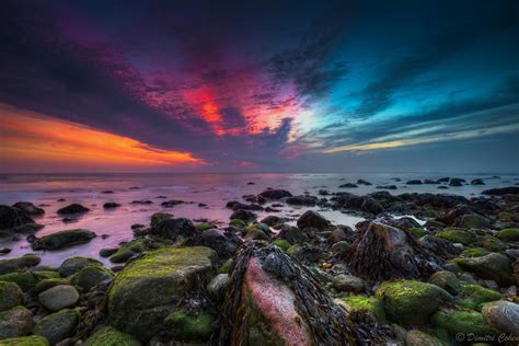 Sunlight Landscape Sunset Sea Bay Rock Shore Sky Beach Moss