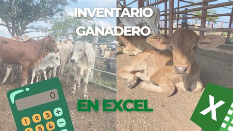 Inventario Ganadero en Excel con Tablas Dinámicas YouTube