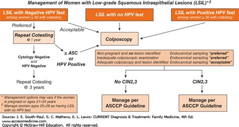 acog pap guidelines 2019 algorithm carfare me 2019 2020