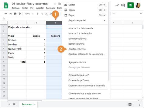Excel Ocultar Filas Columnas Y Hojas Autoincremental Riset