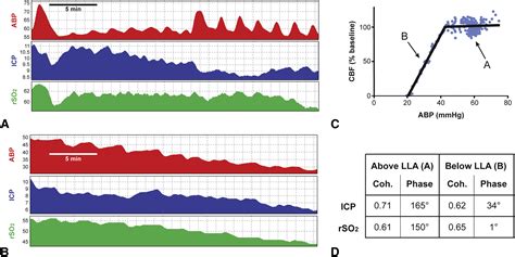 Cerebral Autoregulation Making Sense Of The Nonsensical The Journal