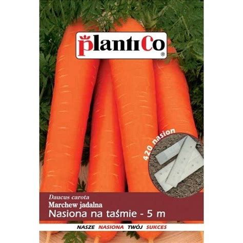 Nasiona Marchew Jadalna Berlikumer Perfekcja Gof Na Ta Mie Z Nawozem