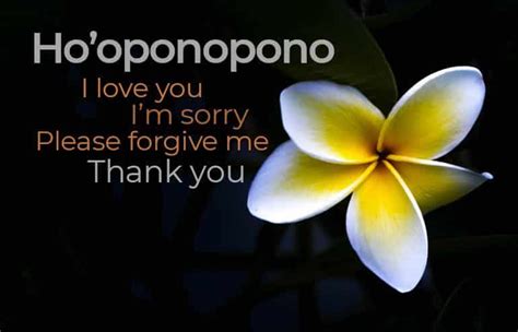 Conflict Resolution Hooponopono And Lawyers