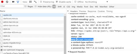 how to fix specify a vary accept encoding header warning