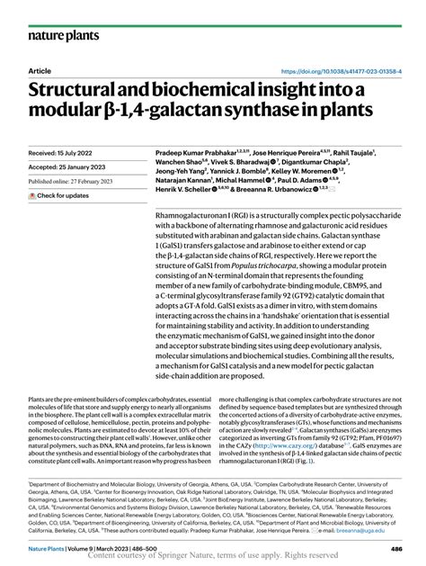 Structural and biochemical insight into a modular β 1 4 galactan