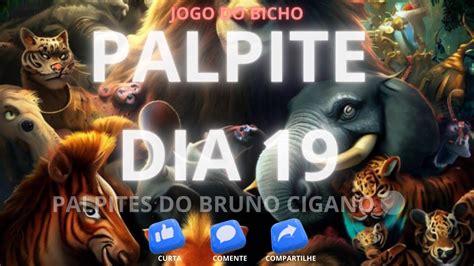 Palpites Do Jogo Do Bicho Dia Bruno Cigano Como Ganhar No Jogo