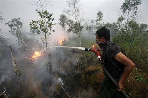 Kenapa Kebakaran Bromo Sulit Dipadamkan Ini Penjelasannya
