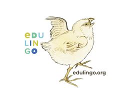 Pollo en inglés Escritura y pronunciación con imágenes