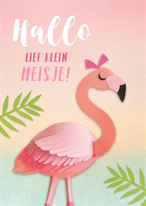 Lief Klein Meisje Flamingo Felicitatiekaarten Kaartje2go