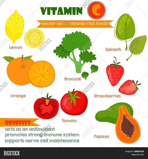 Vitamins Minerals Foods Vector Photo Bigstock