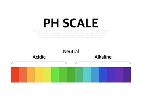 Ph Scale Universal Indicator