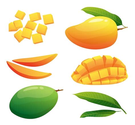 Premium Vector Set Of Fresh Mango Fruits Whole Half And Cubic Slices