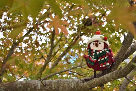Pueblos Navideños en Japón 2024 PueblosBonitos