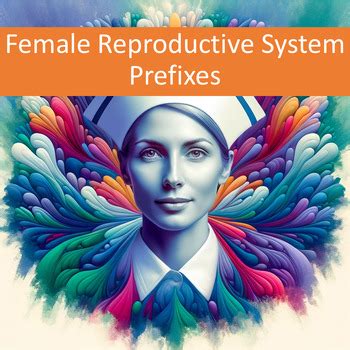 Worksheet To Learn Female Reproductive System Prefixes For Medical