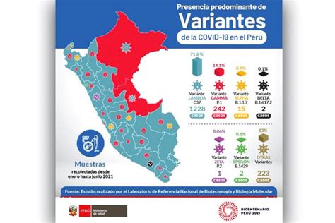 Covid 19 Cuántas variantes hay en Perú y dónde están Noticias