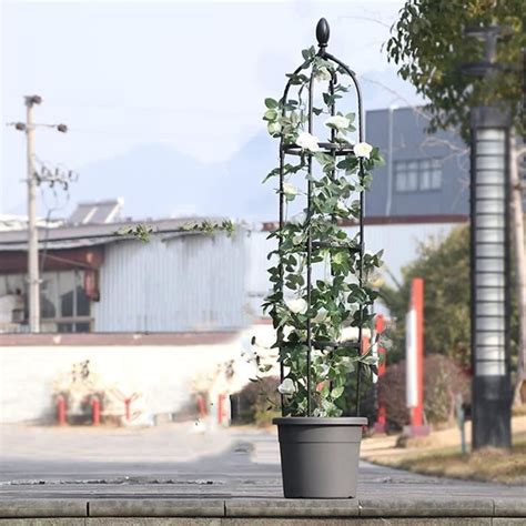 Obélisque Arceau Arche de Jardin Tuteur Tomates Pieu de Jardin Tuteurs