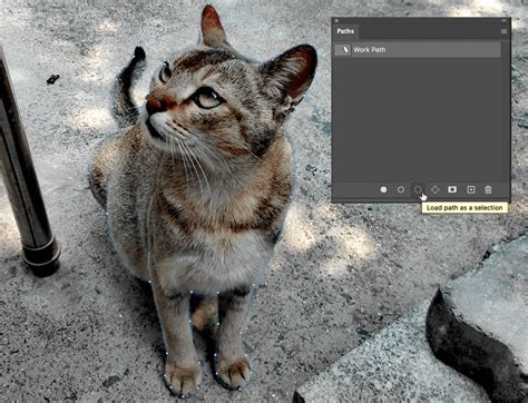 Beginner S Guide To Pen Tool In Photoshop Yarsa DevBlog