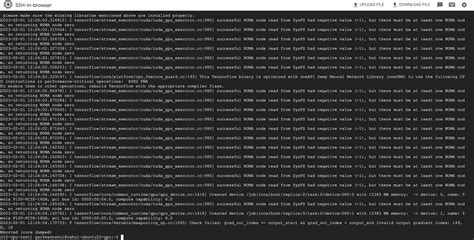 Crash When Running Tensorflow Python Ops Gen Nn Ops Max Pool Grad With