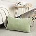 Amazon Fancy Homi 2 Packs Sage Green Lumbar Decorative Throw