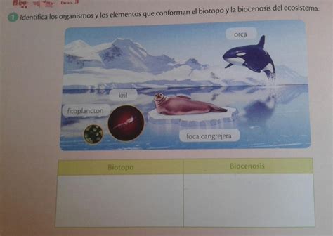 Alguien Me Ayuda Por Favor Doy Corona Brainly Lat