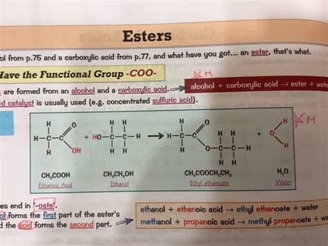 Y11 Chem Esters Flashcards Quizlet