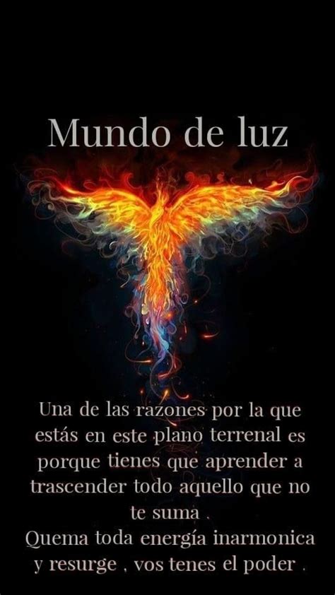 Pin De Fernanda Zapata En Frases De Psicologia En 2024 Pensamientos