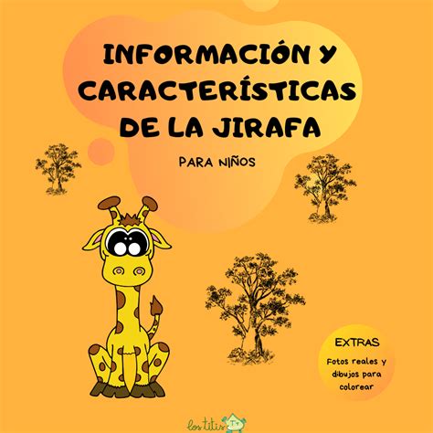 Información y características de la Jirafa Regalos Personalizados