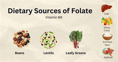 Folate Folic Acid Health Impact Deficiency And Food Sources