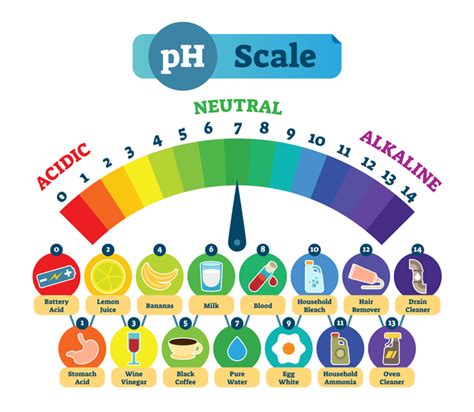 Explainer What The PH Scale Tells Us