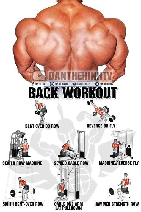 Pin By My Info On Gym Workout Tips Back Workout Bodybuilding Back
