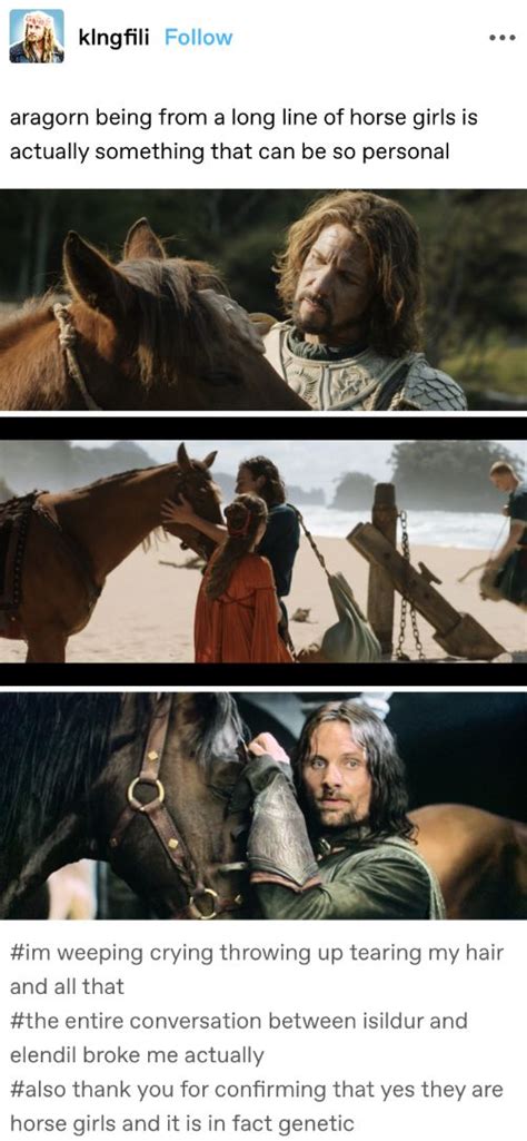 Pin By Kathleen Guy On Things I Love In 2024 Aragorn Lotr Lotr Funny