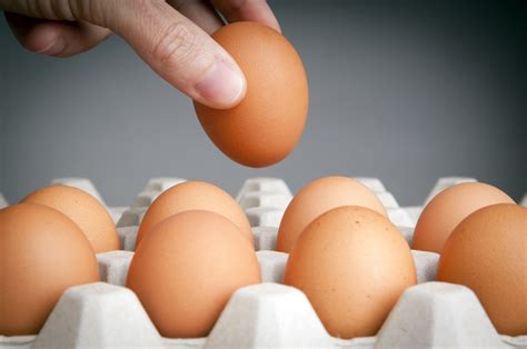 Come Leggere Il Codice Delle Uova E Capire Se Sono Ancora Fresche Mag