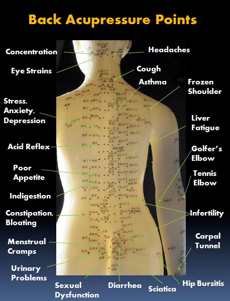 Acupressure Points Chest Chart
