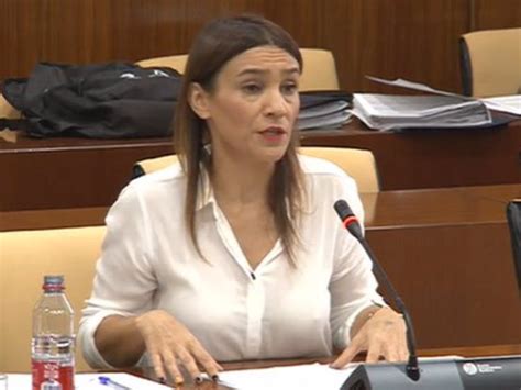 PSOE exige a Junta más diálogo con municipios ante ampliación de la