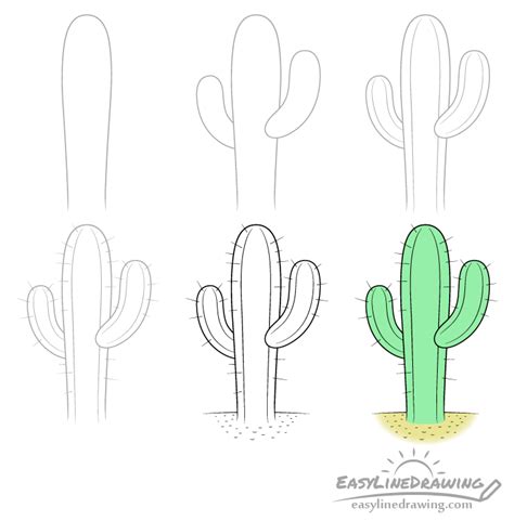 How To Draw A Cactus Step By Step Easylinedrawing