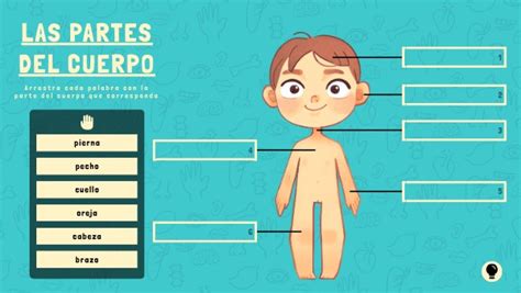 JUEGO PARTES DEL CUERPO