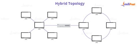 What Is Network Topology Definition Types And Advantages