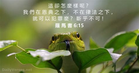 2023年5月16日 每日聖經金句 羅 馬 書 6 15 DailyVerses net