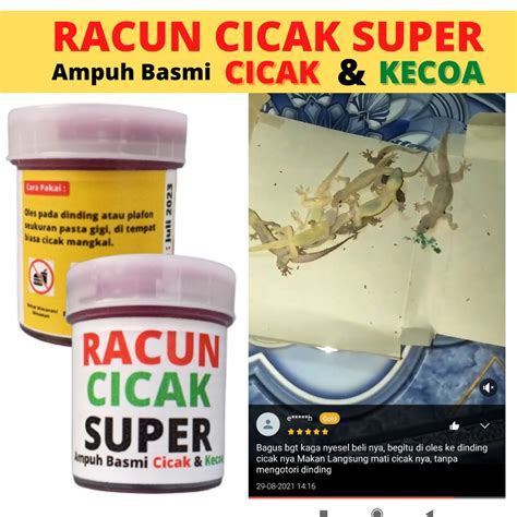 Jual RACAK Racun Cicak Super Herbal Original Pembasmi Cicak Ampuh 100