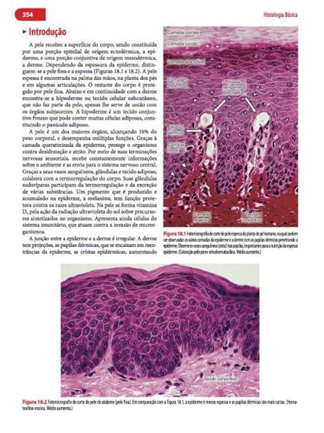 Histologia