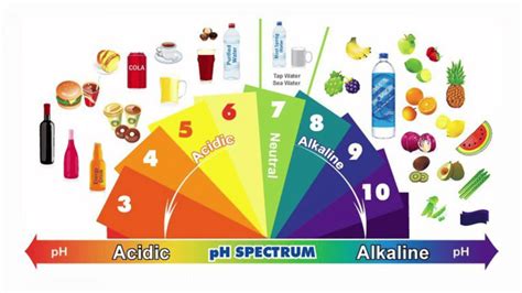 Importance De L Quilibre Acido Basique Pour Lorganisme Journal Des