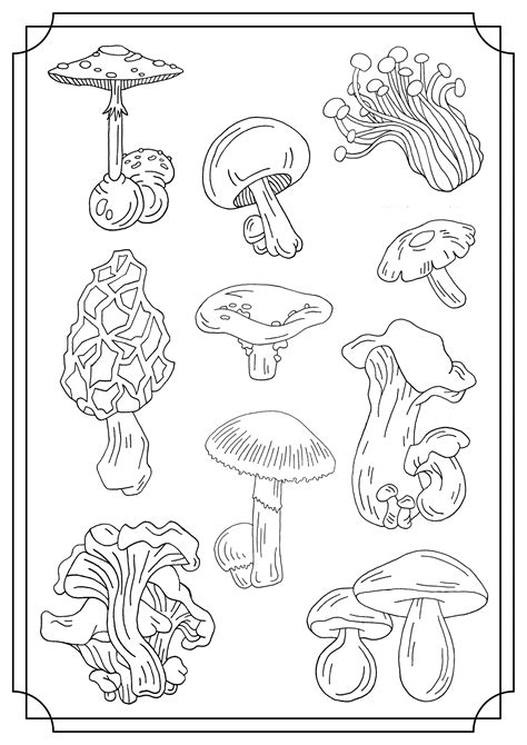 Printable Coloring Pages Mushrooms